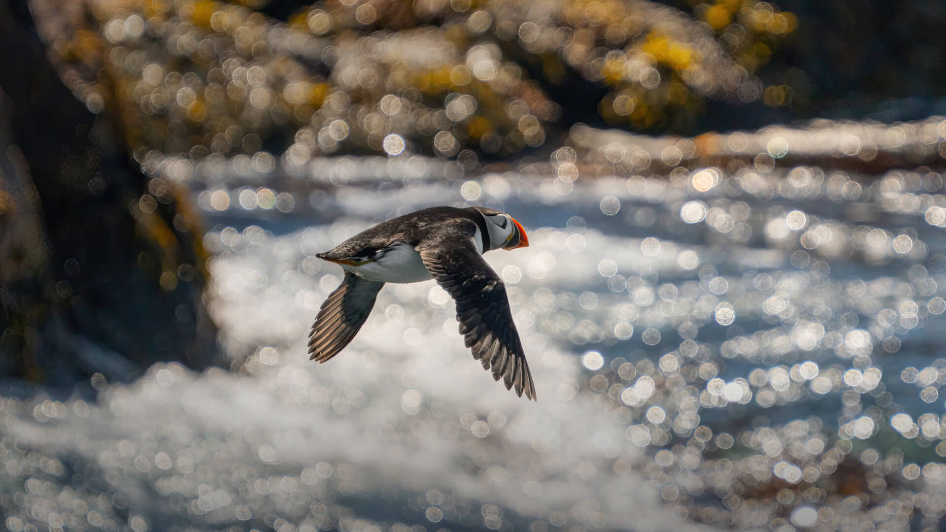 Flights and Ferries to Newfoundland & Labrador